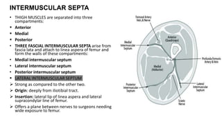 fascia of lower limb, venous drainage of lower limb, lymphatic drainage ...