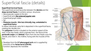 Fascia of neck | PPTX