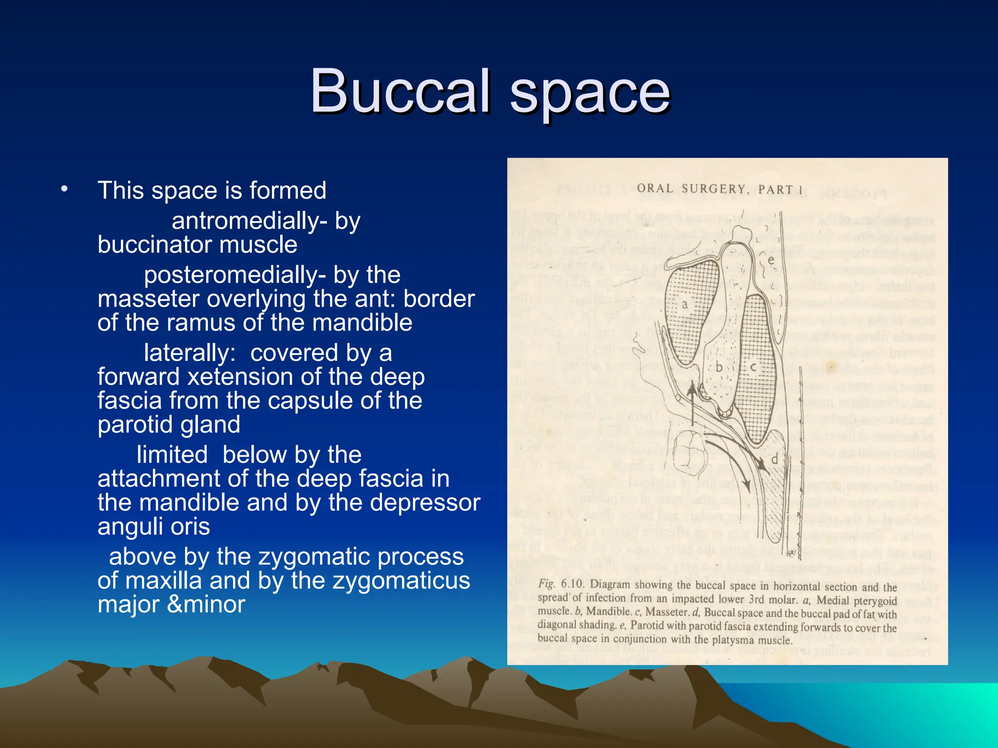 Fascias and fascial space infections of head and neck 1.ppt