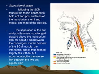 Fascias and fascial space infections of head and neck 1.ppt