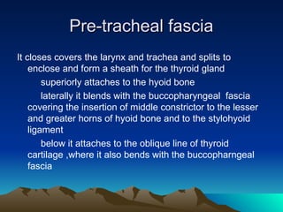 Fascias and fascial space infections of head and neck 1.ppt