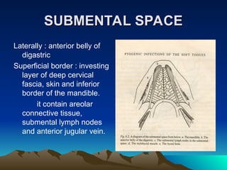 Fascias and fascial space infections of head and neck 1.ppt