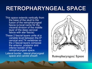 Fascias and fascial space infections of head and neck 1.ppt