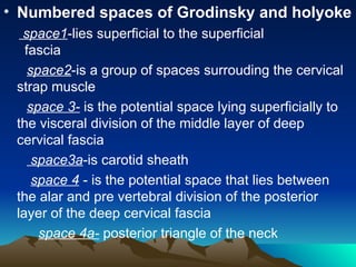 Fascias and fascial space infections of head and neck 1.ppt