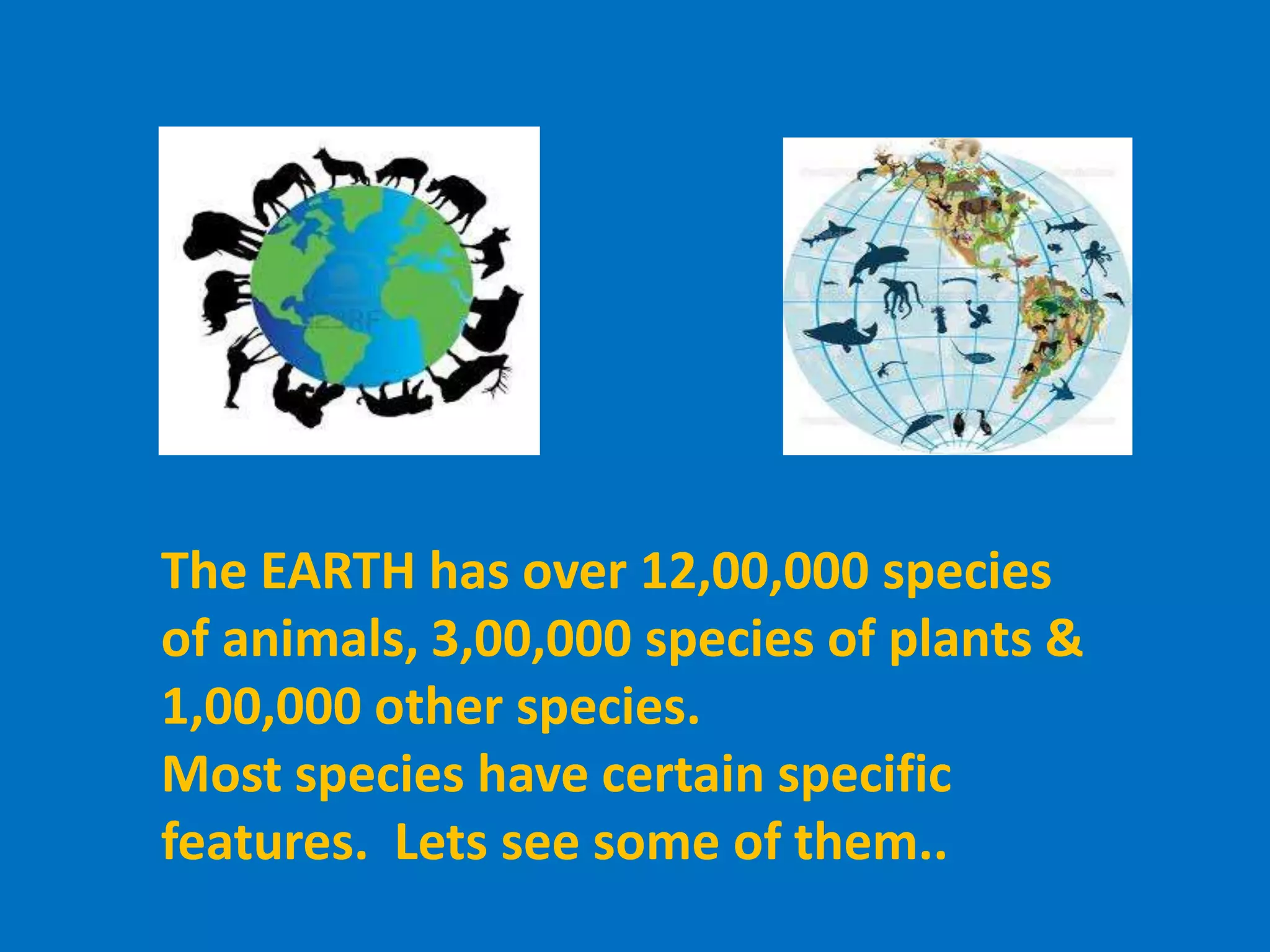 Fascinating facts of animals & birds | PPTX