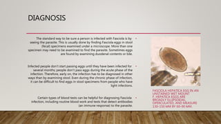 Fasciola | PPTX