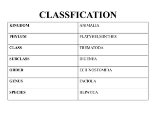 Genus FASCIOLA, classification and treatment | PPT