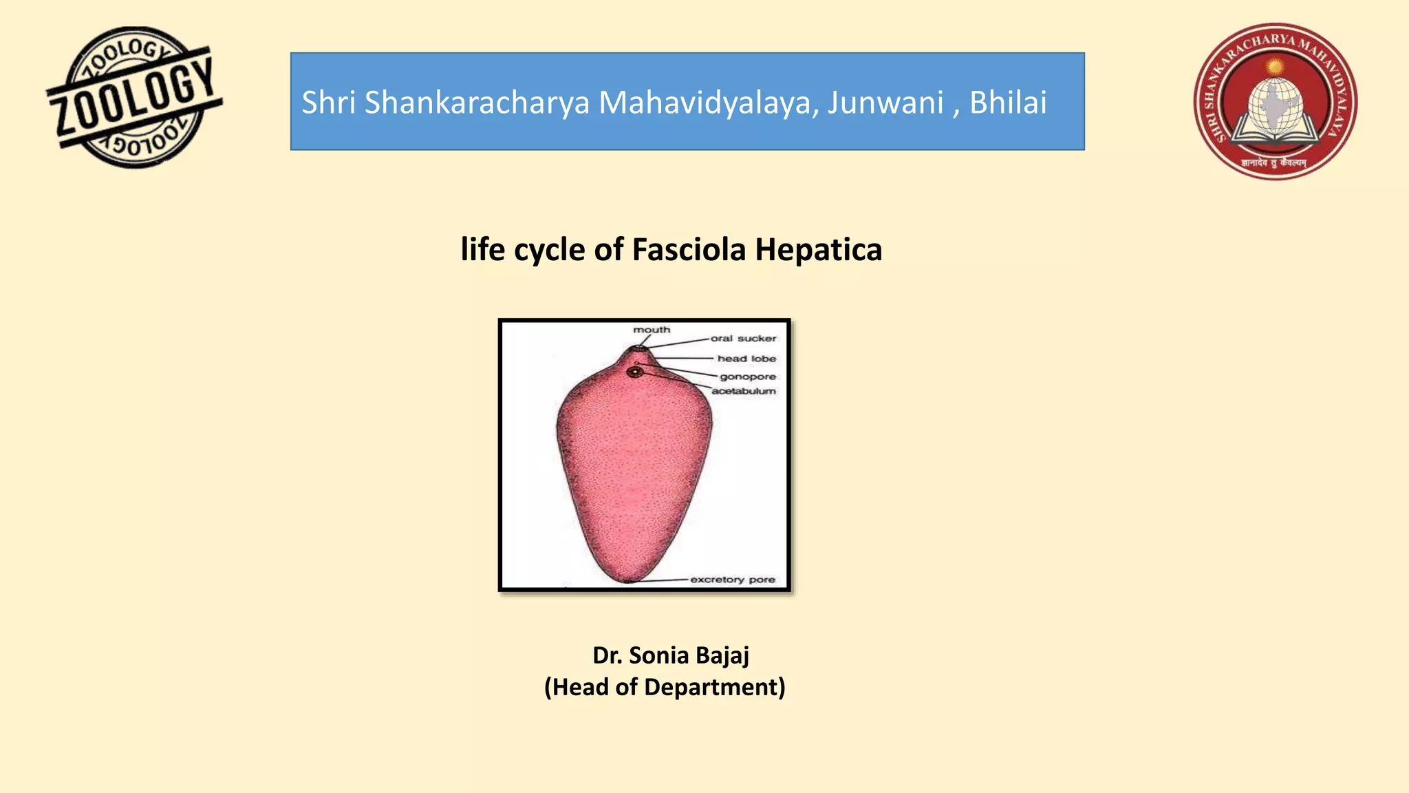 Fasciola hepatic.- complete life cycle, Different larva stages | PPTX