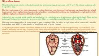 Fasciola hepatic.- complete life cycle, Different larva stages | PPTX