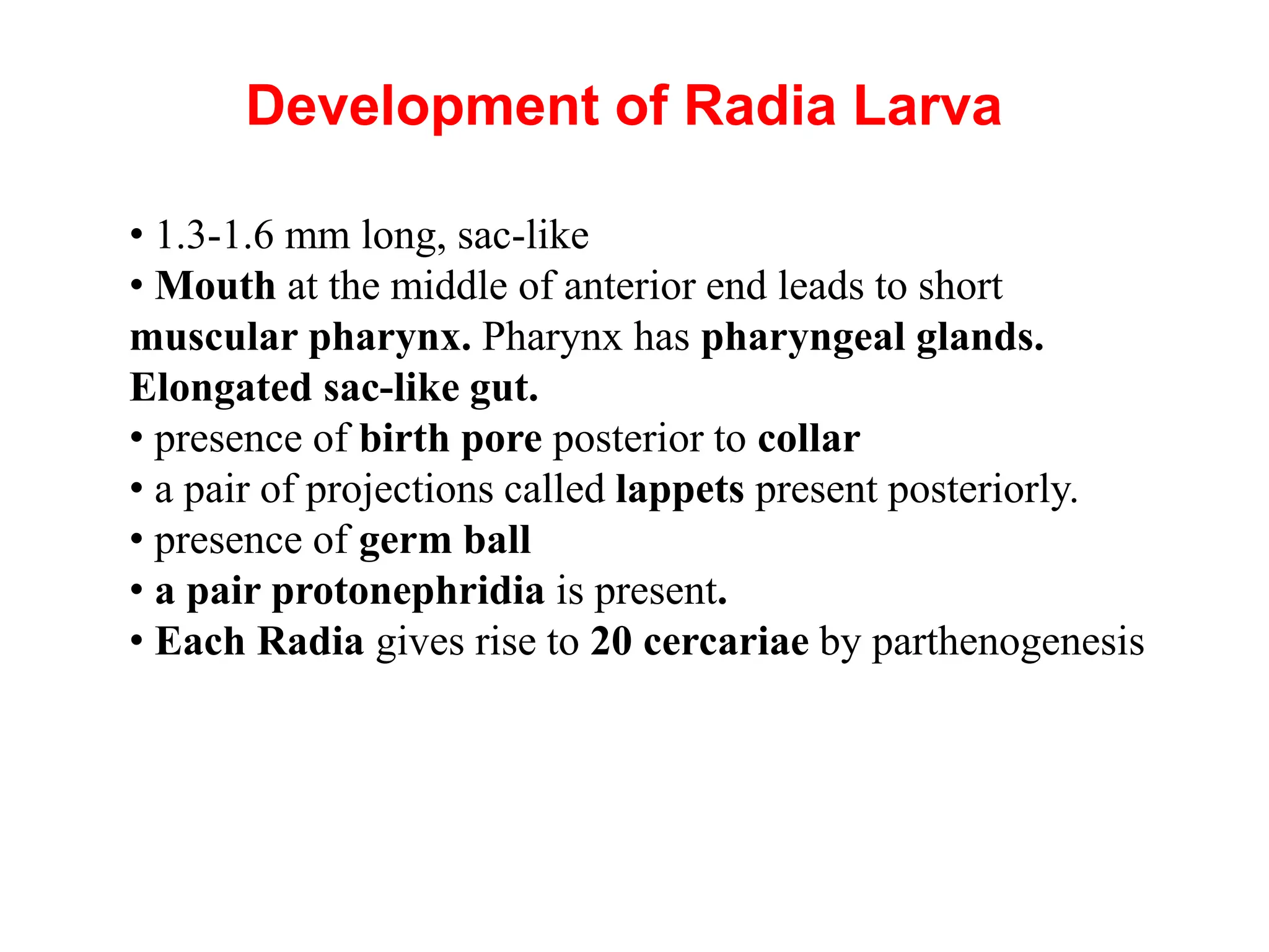 Fasciola hepatica life cycle.ppt