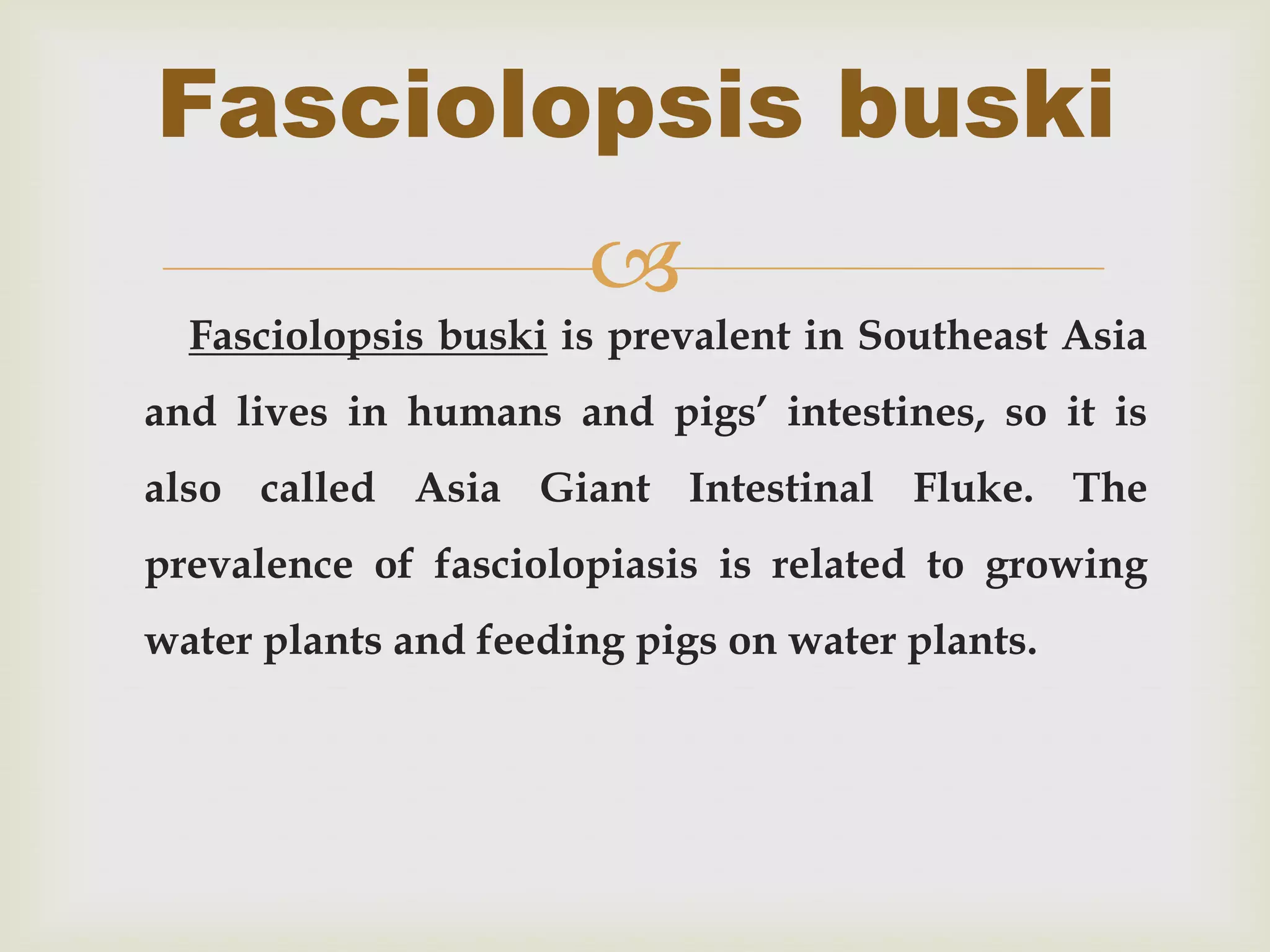 Fasciolopsis buski | PPTX