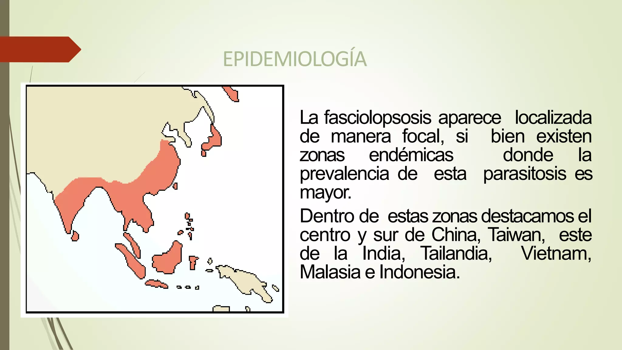 Fasciolopsis buski () | PPTX