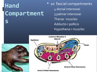 Fasciotomy | PPT