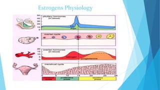 Basic Pharmacology of Estrogen | PPTX