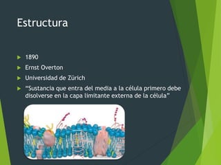 Estructura y función de la membrana plasmática | PPTX