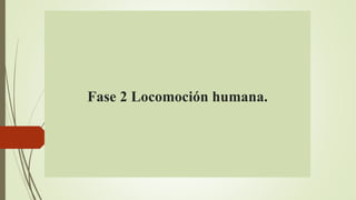 Fase 2 Locomoción humana.pptx