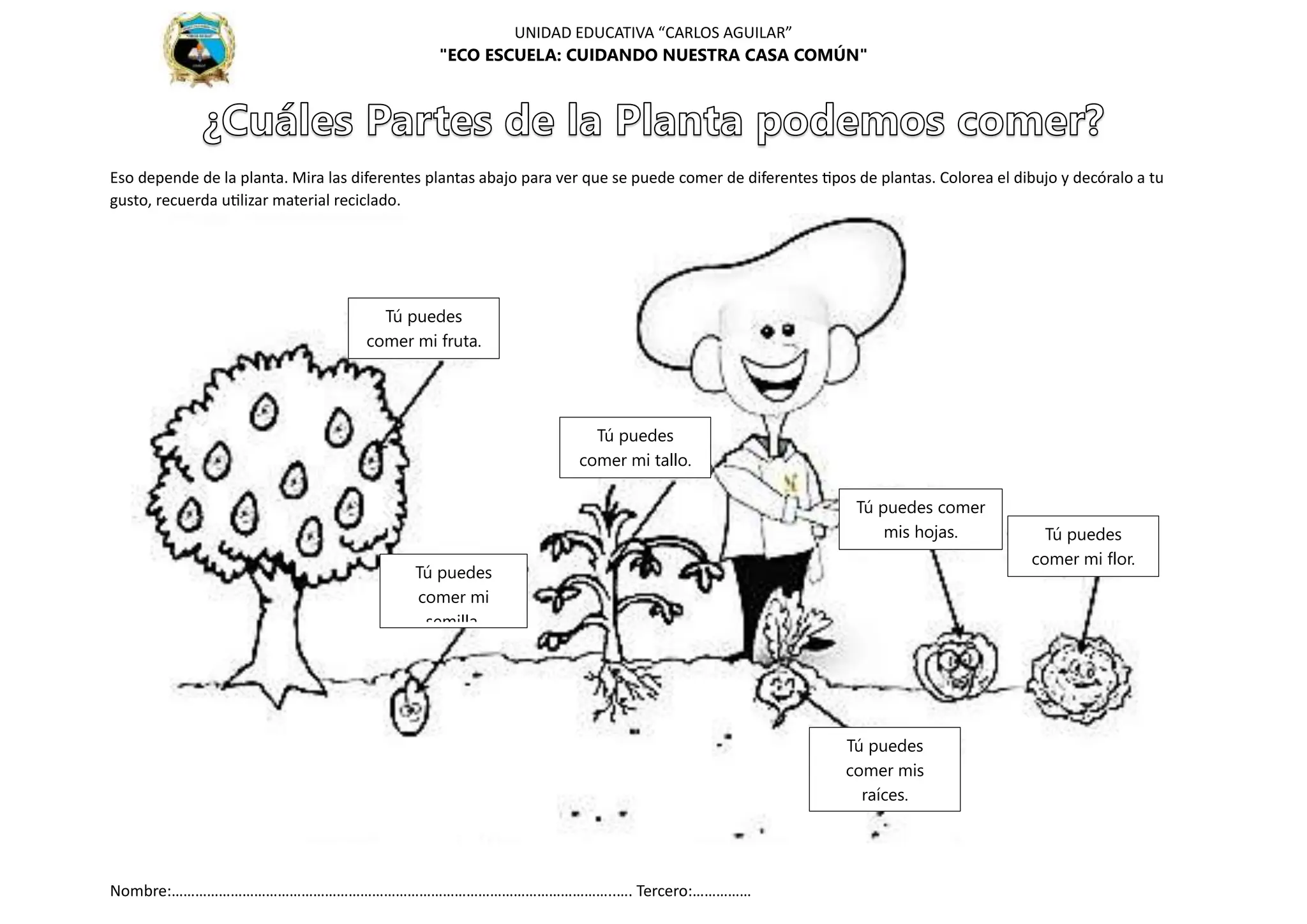 hojas de trabajo sobre plantas para trabajar en clase | DOCX