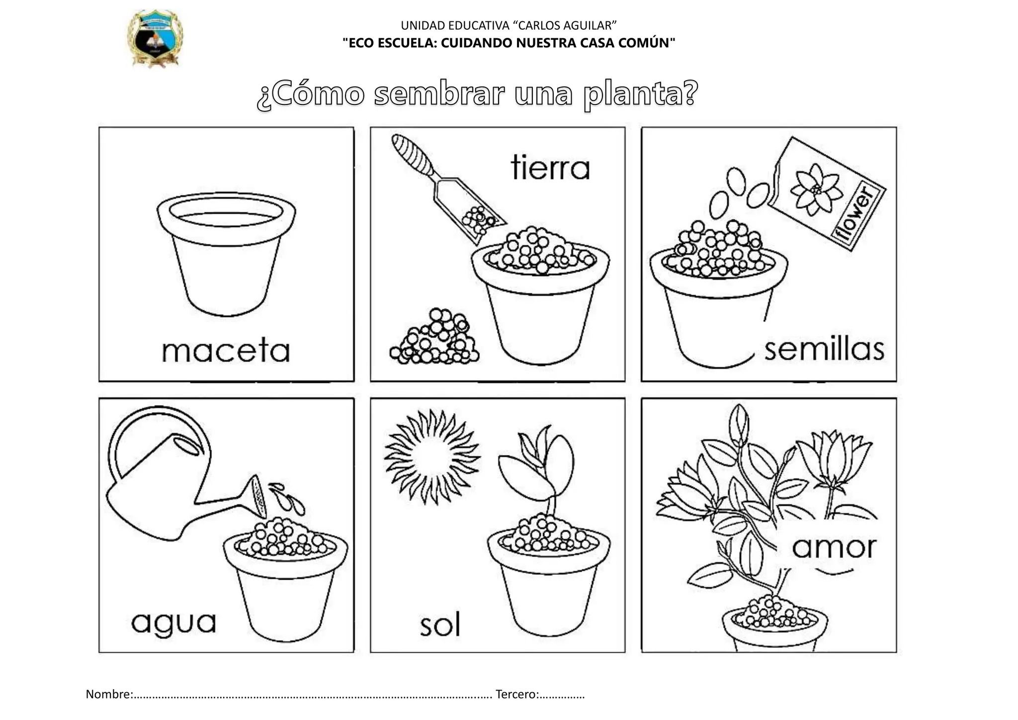 Hoja De Trabajo Sobre Usos De Las Plantas