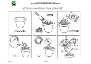 Partes De Las Plantas Hoja De Trabajo Grado 2