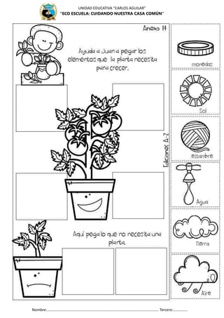 Partes De Las Plantas Hoja De Trabajo Grado 2