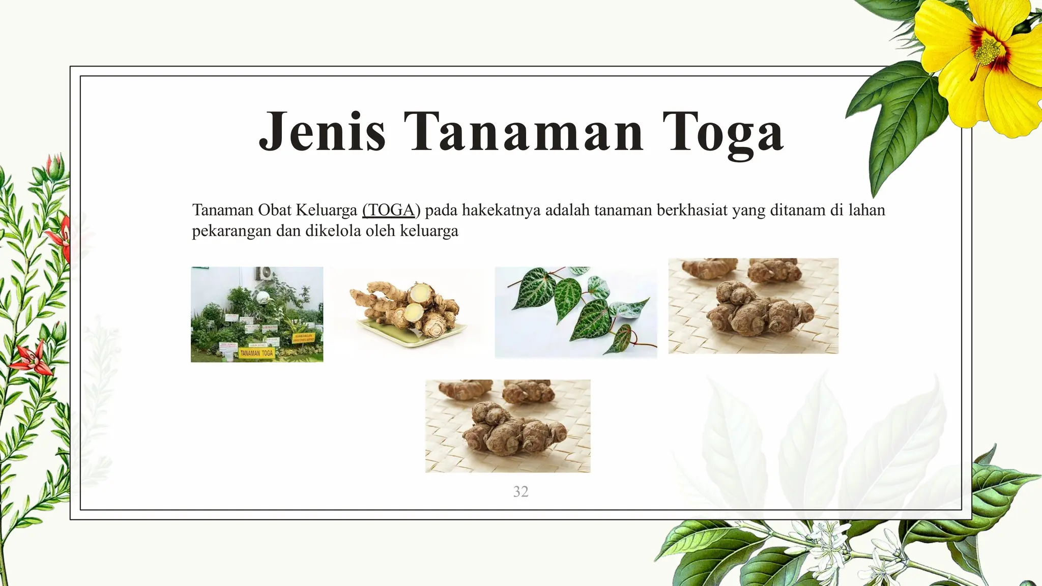 (Fase B ) - KEWIRAUSAHAAN - JAMU TOGA K4 BB2.pptx