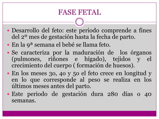 Fase fetal diapositivas | PPTX