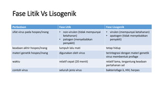 Fase Litik Vs Lisogenik.pptx