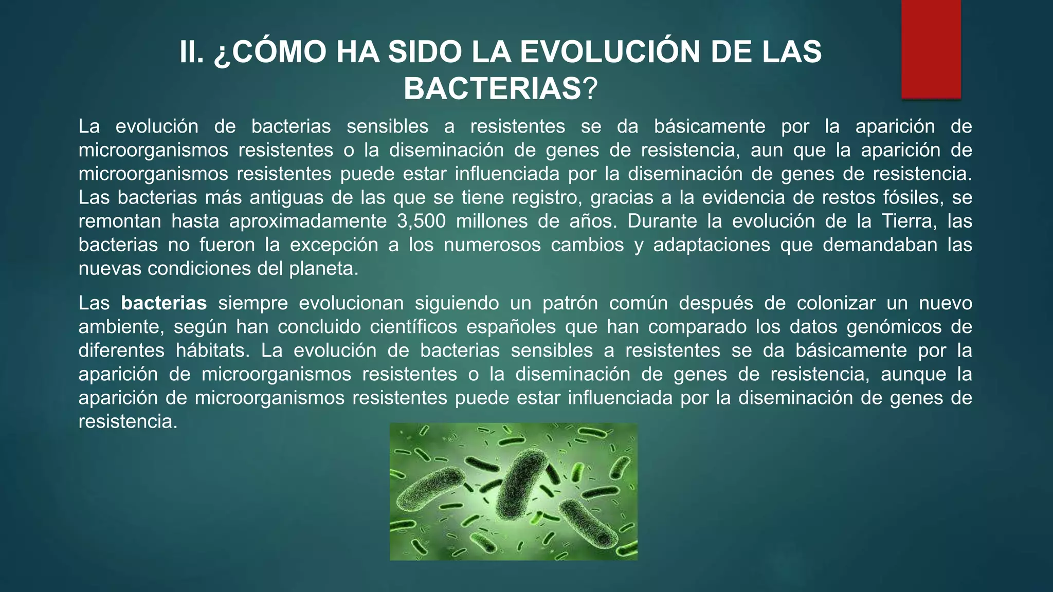 fase ll evolucion de las bacterias..pptx