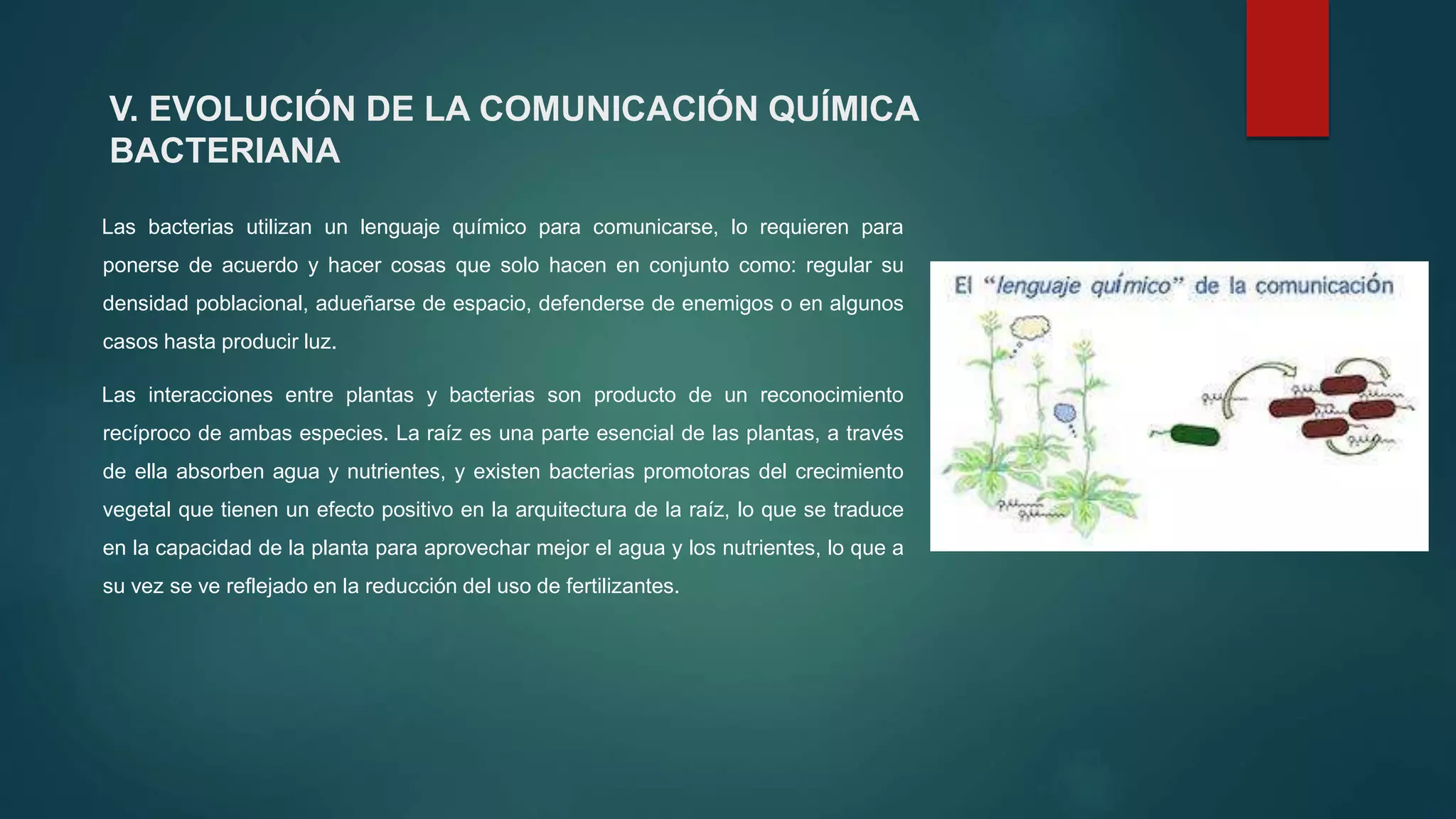 fase ll evolucion de las bacterias..pptx