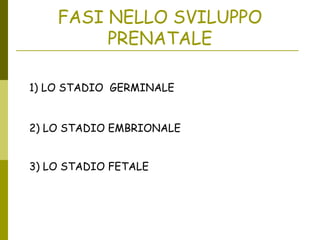 Fase prenatale v | PPT