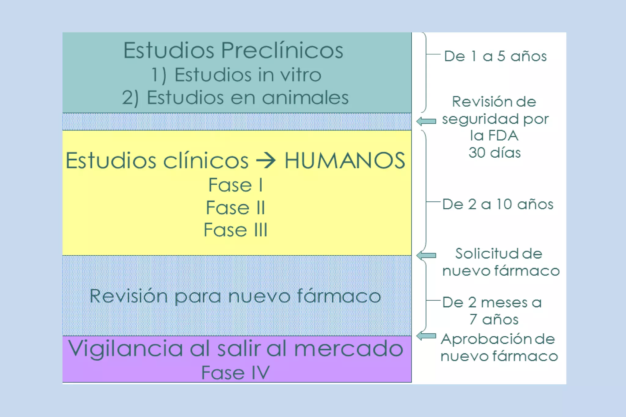 Fases clínicas: Estudios de la fase I, II, III y IV | PPTX