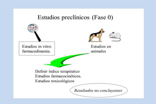 Fases clínicas: Estudios de la fase I, II, III y IV | PPTX