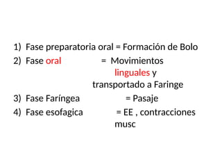 FASES DE DEGLUCION, correlacion entre fisiologia y radiologia | PPTX