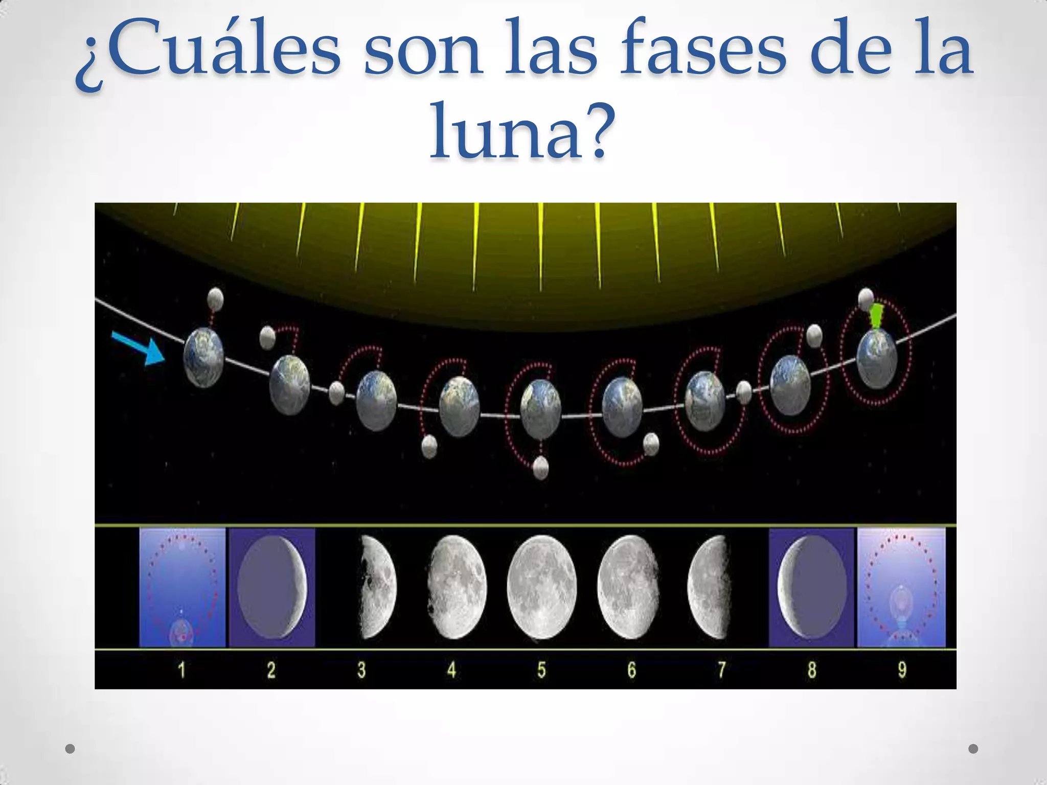 Fases de la luna | PPTX | Science