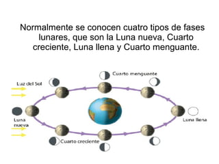 Fases de la luna | PPT