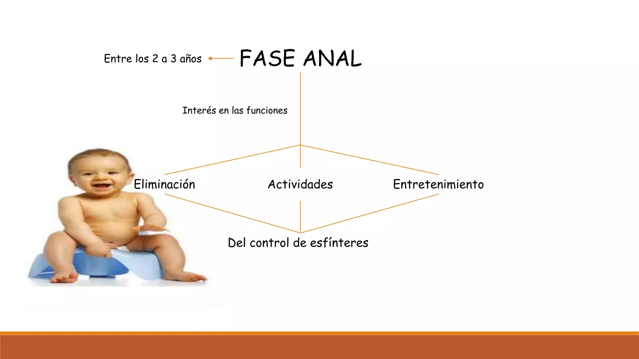 Fases Del Desarrollo Psicosocial Ppt