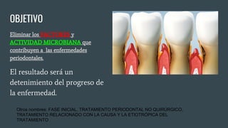 Fases del tratamiento periodontal | PDF