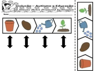 Fases do crescimento 1 | PDF