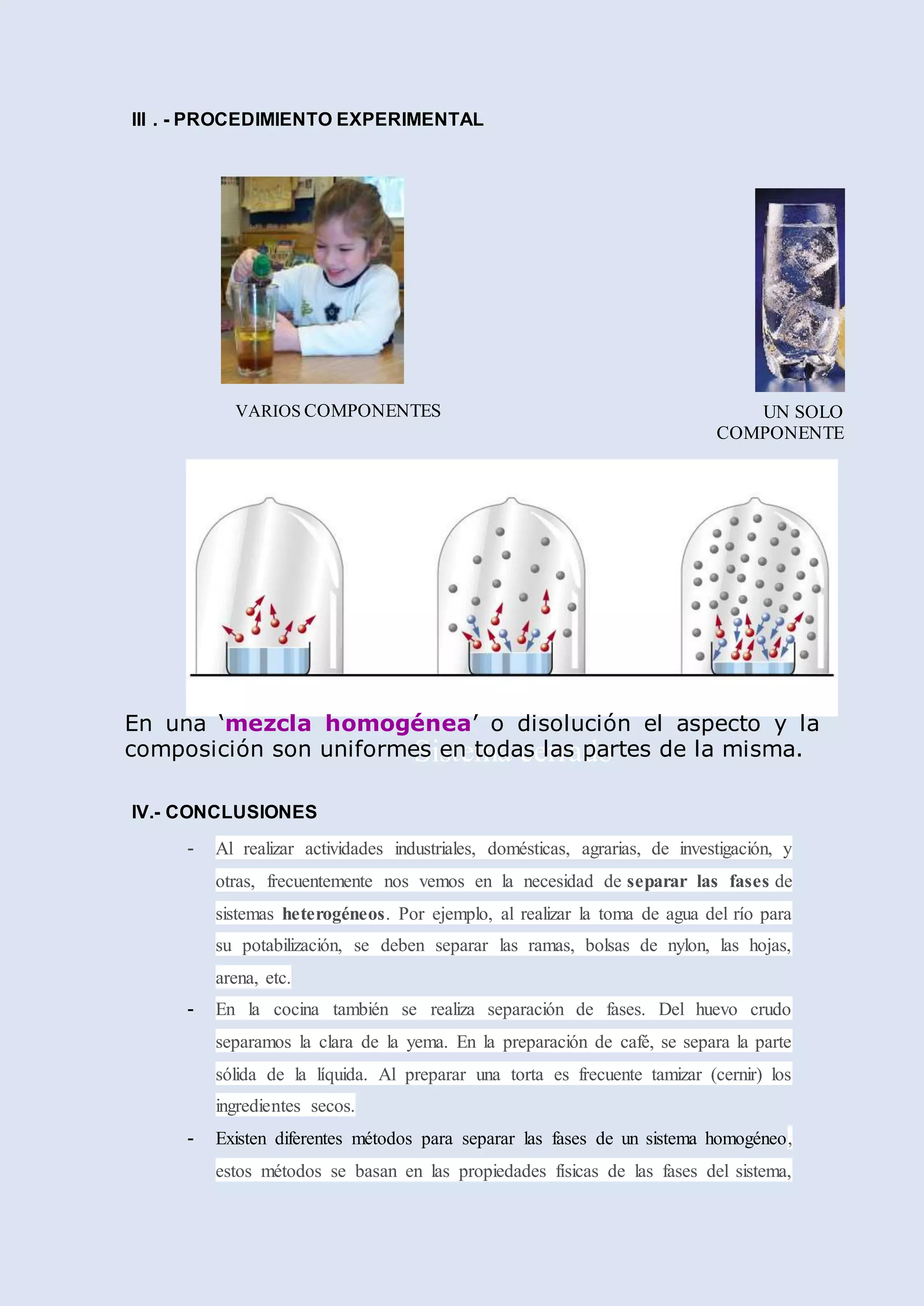 Fases homogenea y heterogénea | DOCX