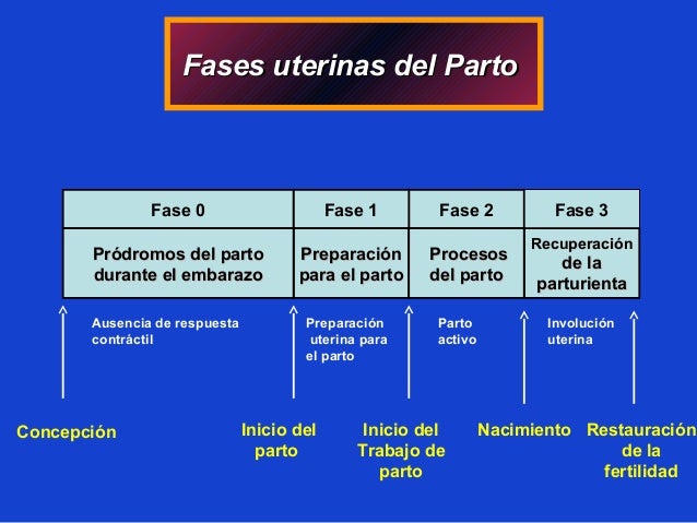 Faces del embarazo - Imagui
