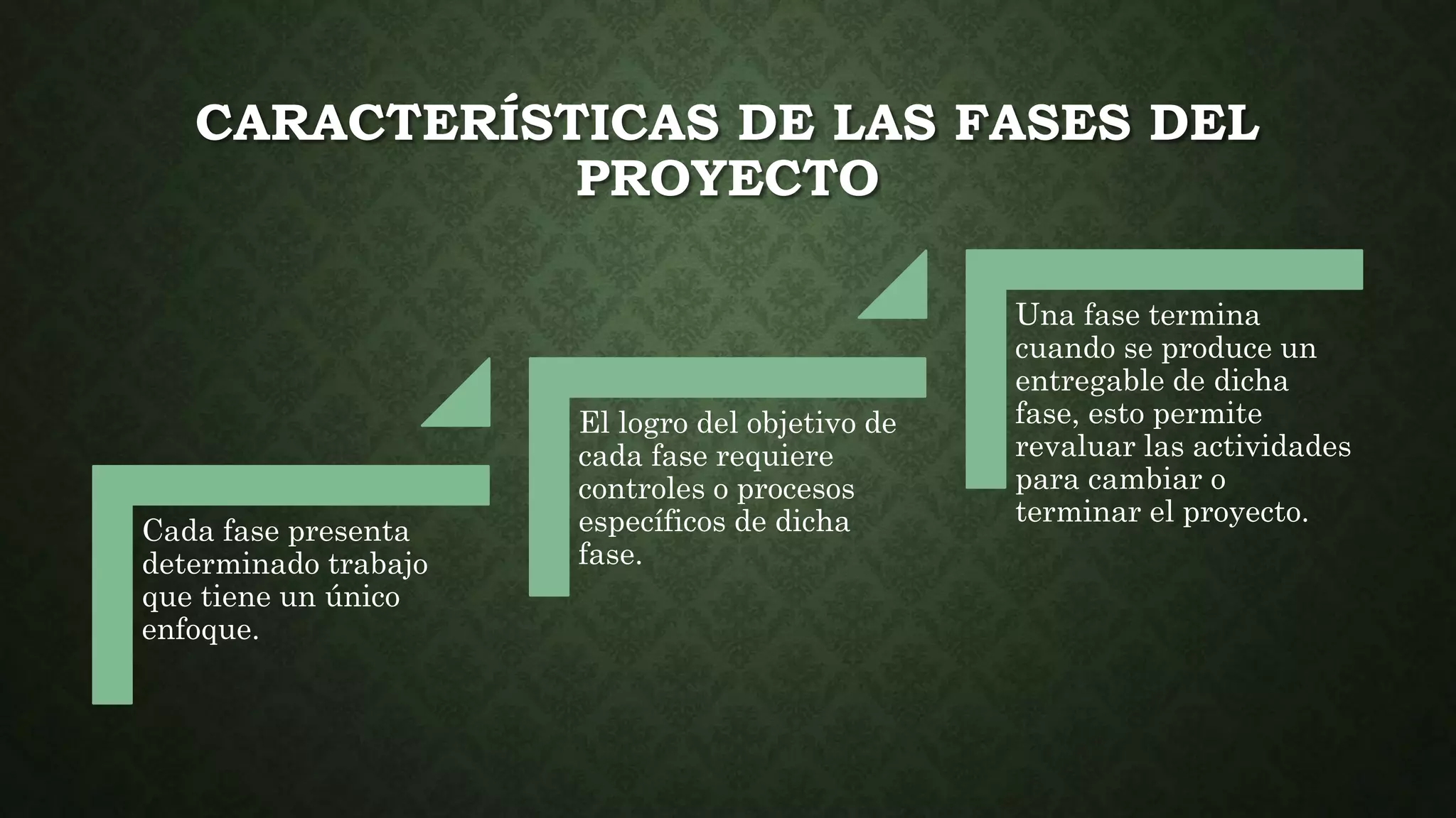 Fases Y Ciclo De Vida Del Proyecto Ppt