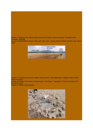 Fasies gunung api dan aplikasinya | DOCX