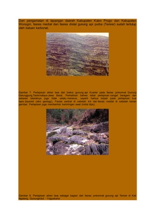 Fasies gunung api dan aplikasinya | DOCX