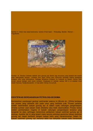 Fasies gunung api dan aplikasinya | DOCX