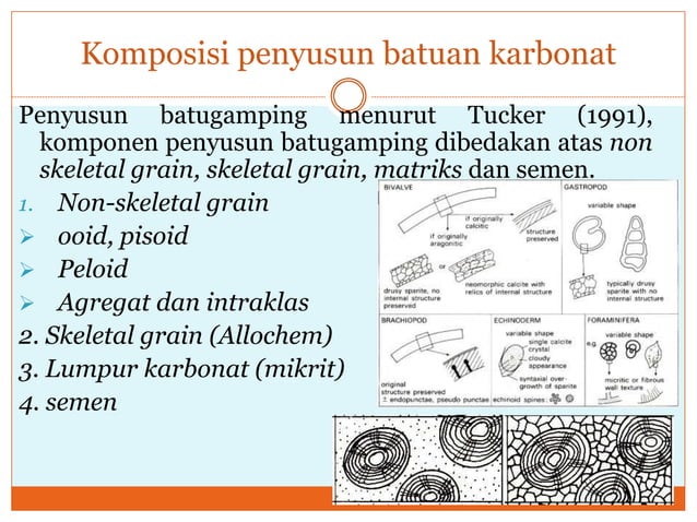FASIES & LINGKUNGAN PENGENDAPAN BATUAN KARBONAT FORMASI WONOSARI-LOKASI ...