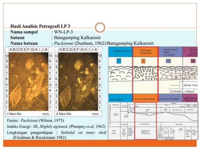 FASIES & LINGKUNGAN PENGENDAPAN BATUAN KARBONAT FORMASI WONOSARI-LOKASI ...