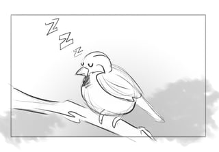 FA_Sparrow | PDF