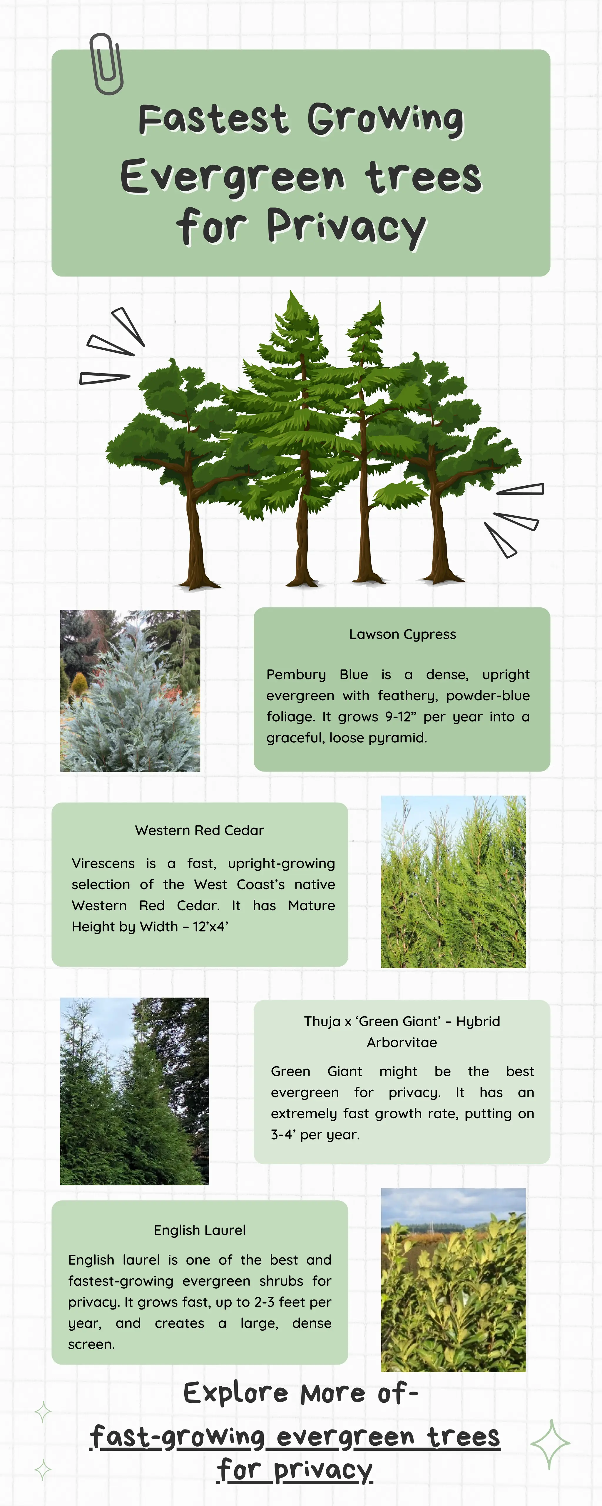 Evergreen Trees With Fast Growth and Privacy | PDF