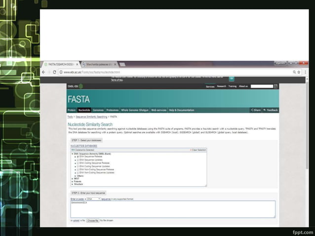 Fasta | PPTX | Databases | Computer Software and Applications