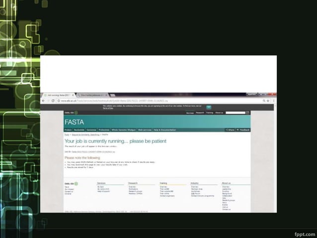 Fasta | PPTX | Databases | Computer Software and Applications